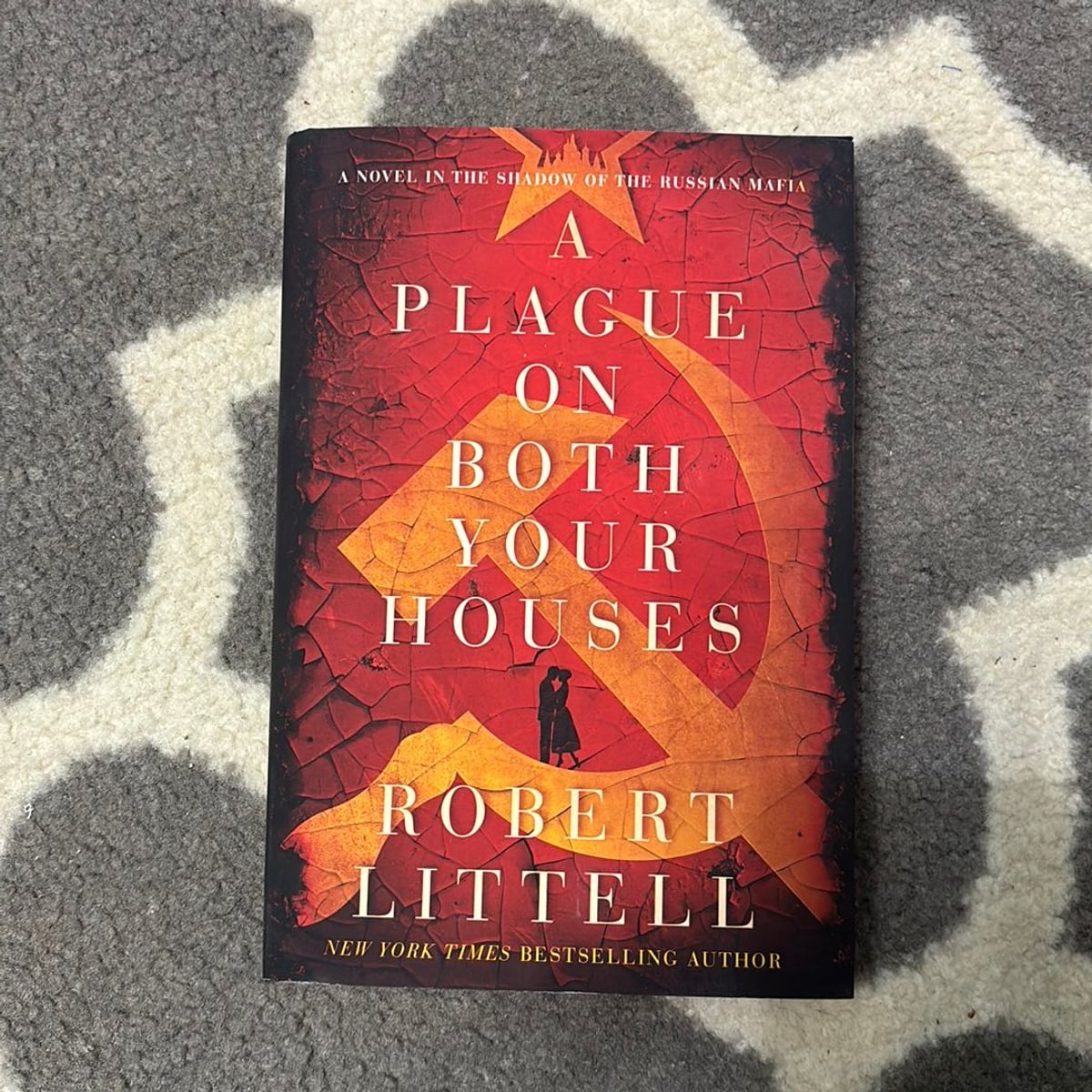 A Plague on Both Your Houses by Robert Littell