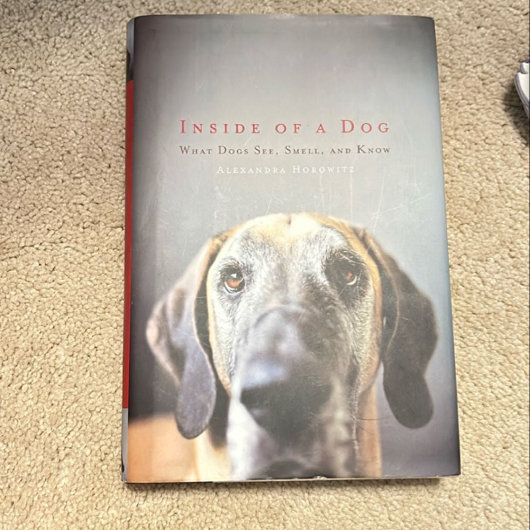 Inside of a Dog by Alexandra Horowitz, Hardcover | Pangobooks