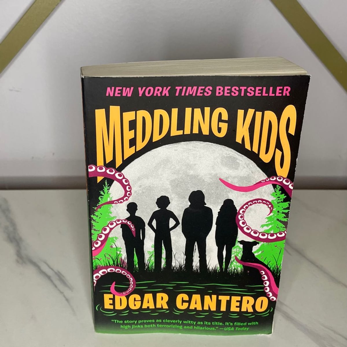 Meddling Kids by Edgar Cantero
