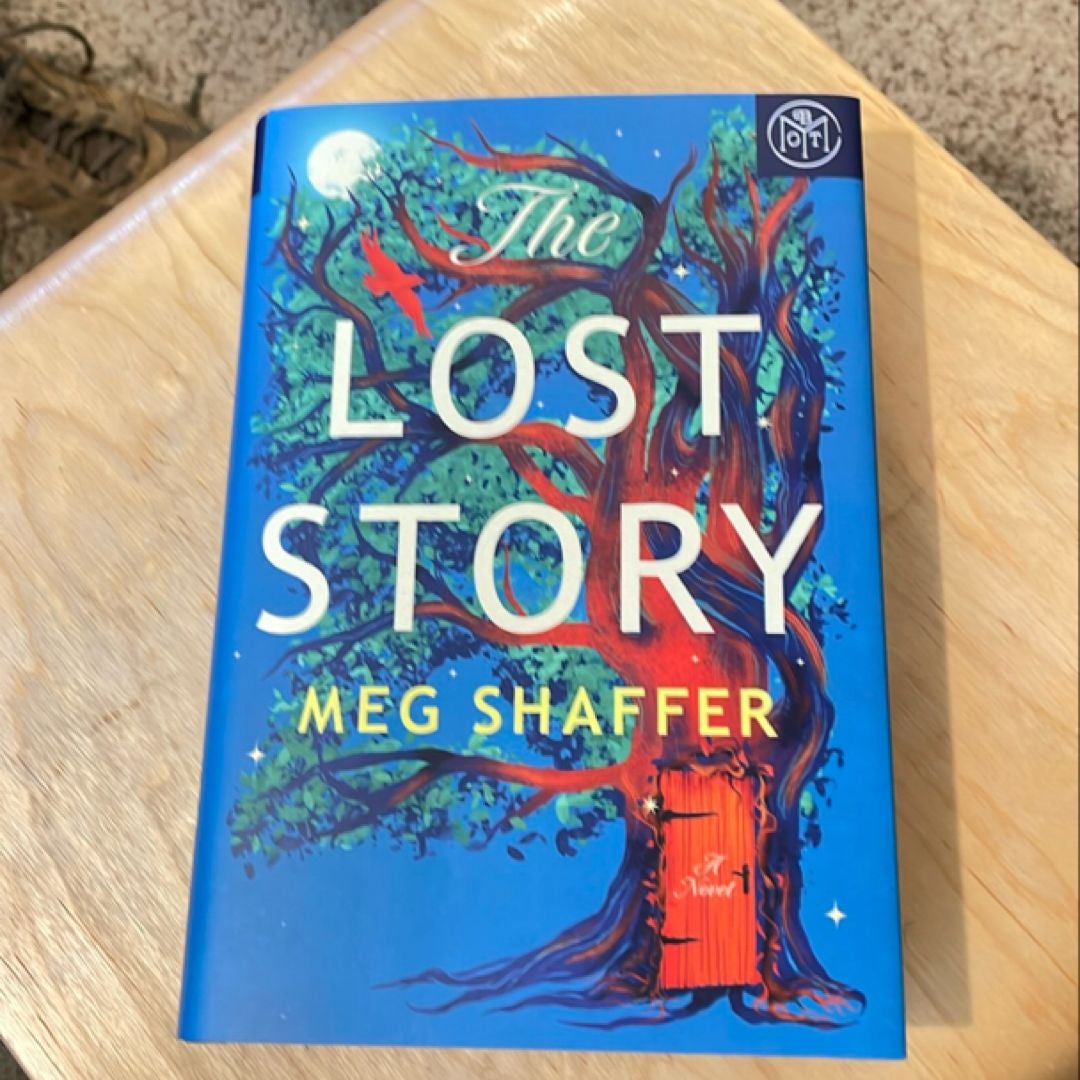 The Lost Story by Meg Shaffer