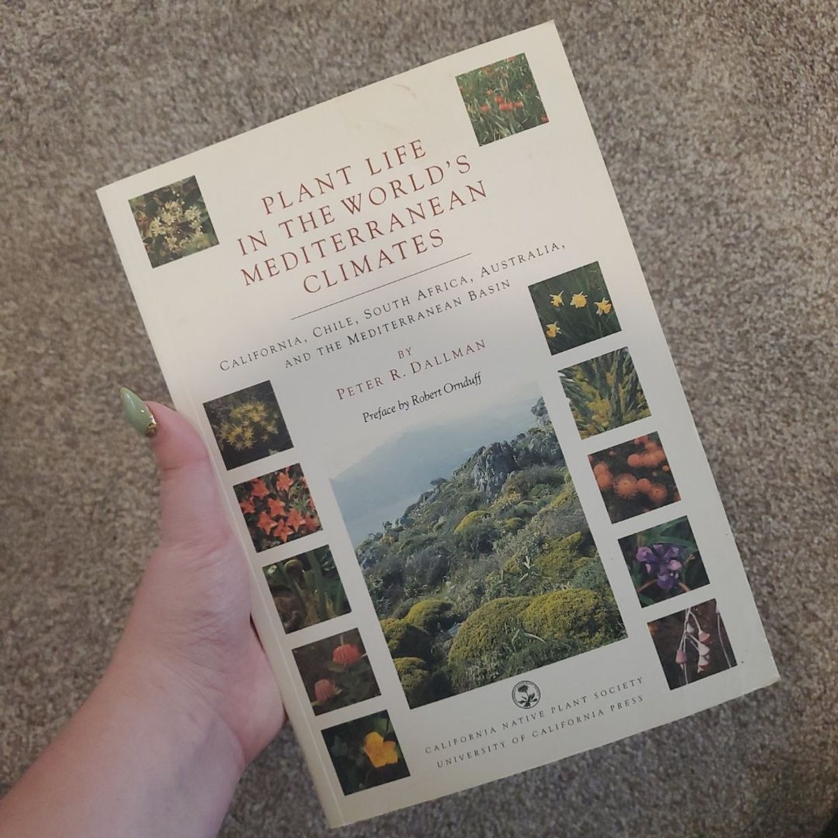 Plant Life in the World's Mediterranean Climates by Peter R. Dallman