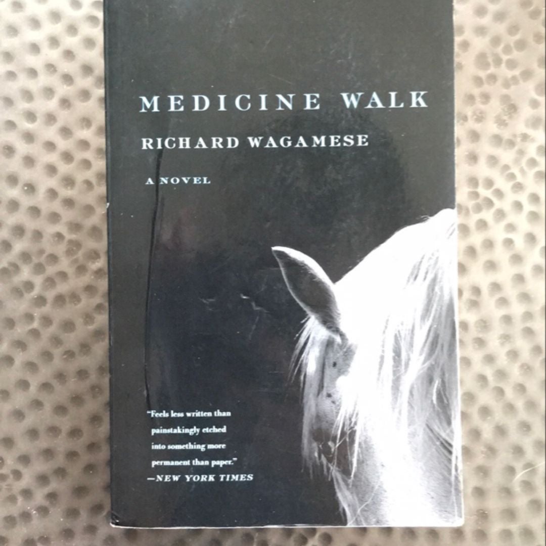 Medicine Walk by Richard Wagamese