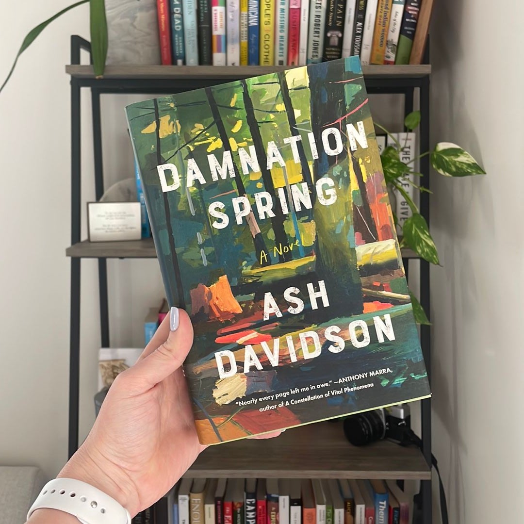 Damnation Spring by Ash Davidson