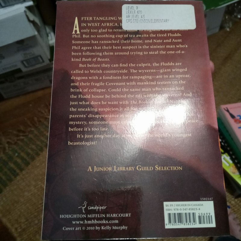 The Wyverns' Treasure by R. L. LaFevers, Paperback | Pangobooks