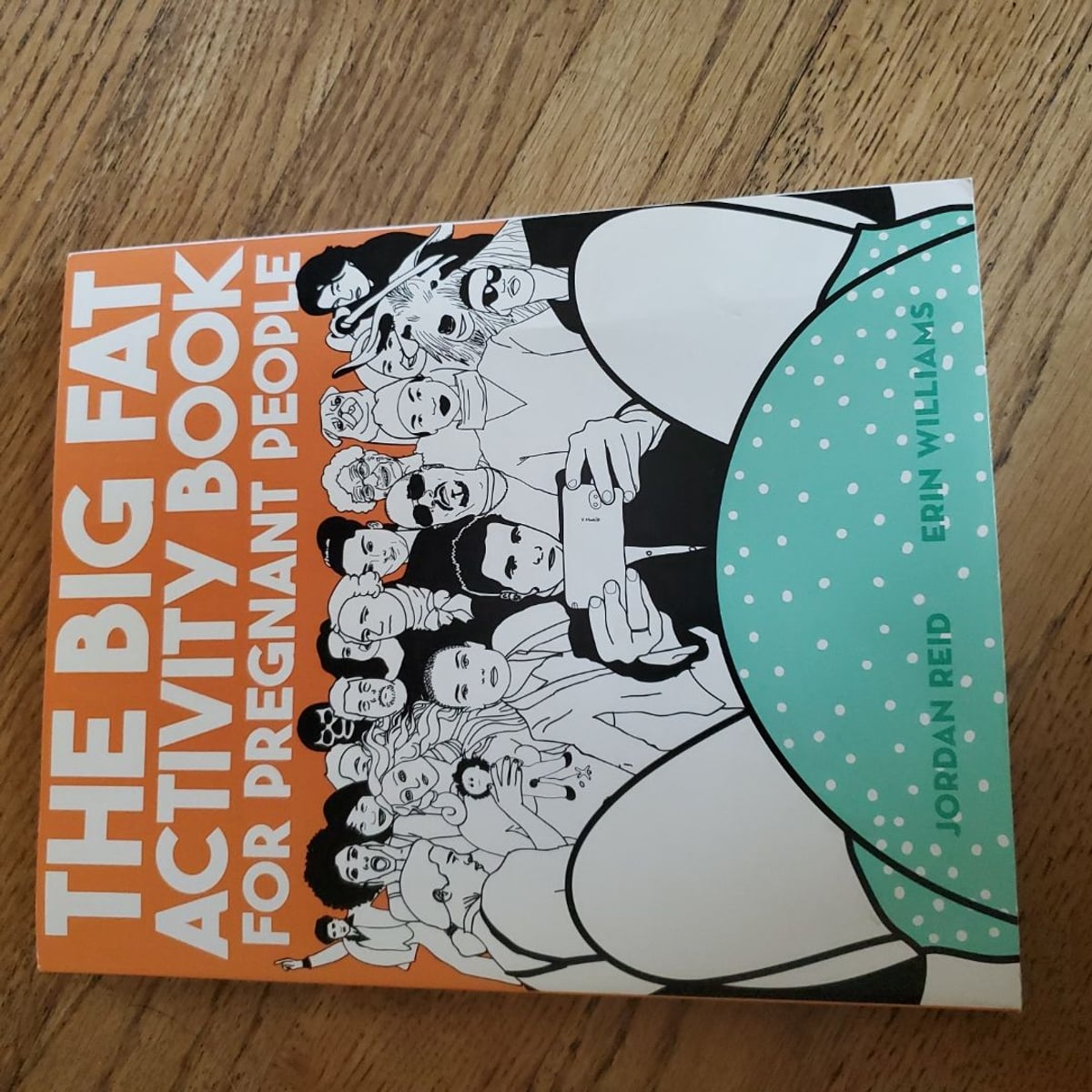 The Big Fat Activity Book for Pregnant People by Jordan Reid, Erin Williams