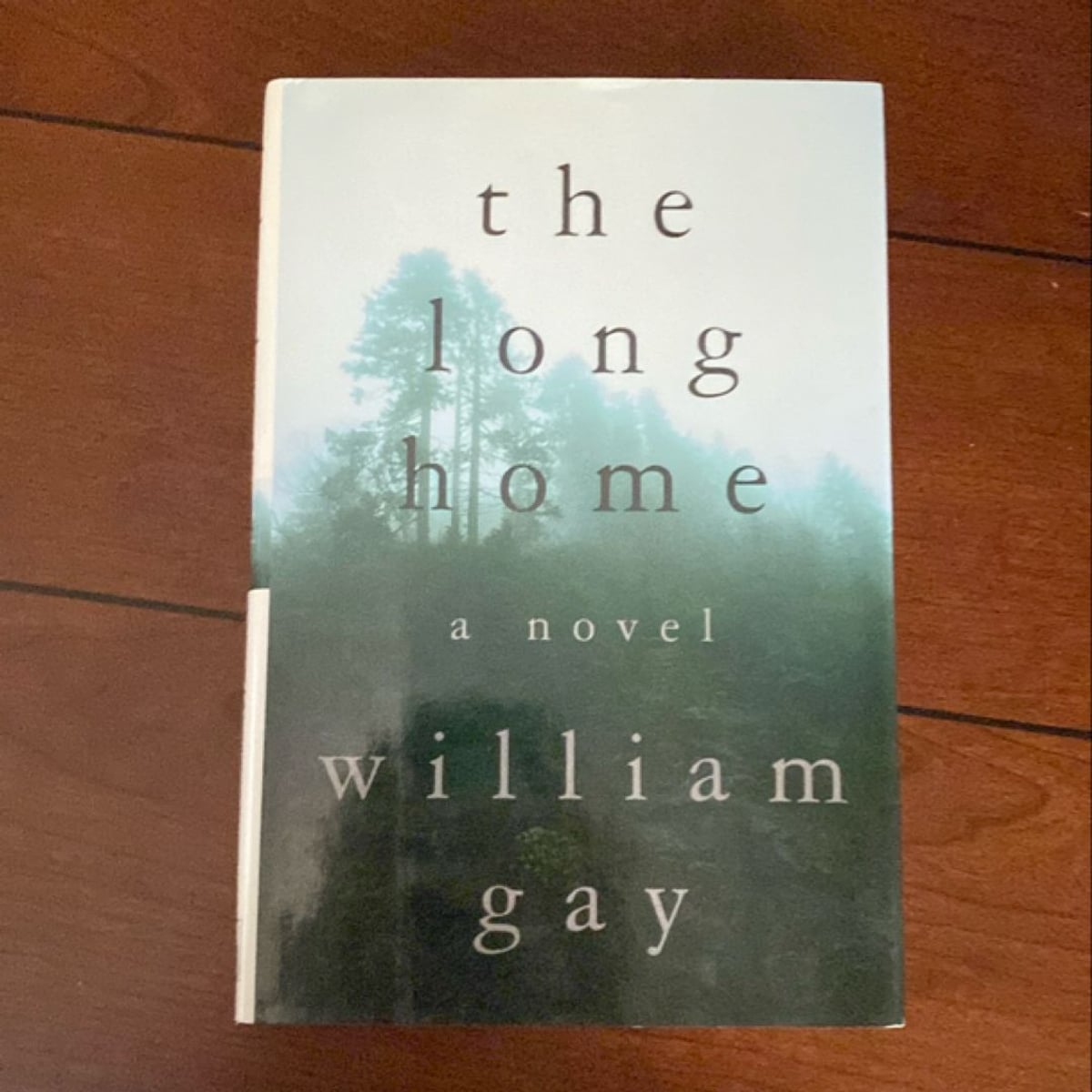 The Long Home by William Gay