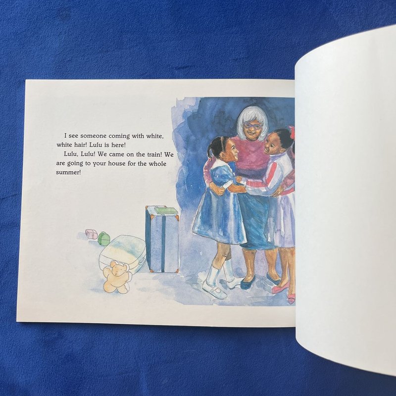 The Train to Lulu's by Elizabeth Fitzgerald Howard, Paperback | Pangobooks