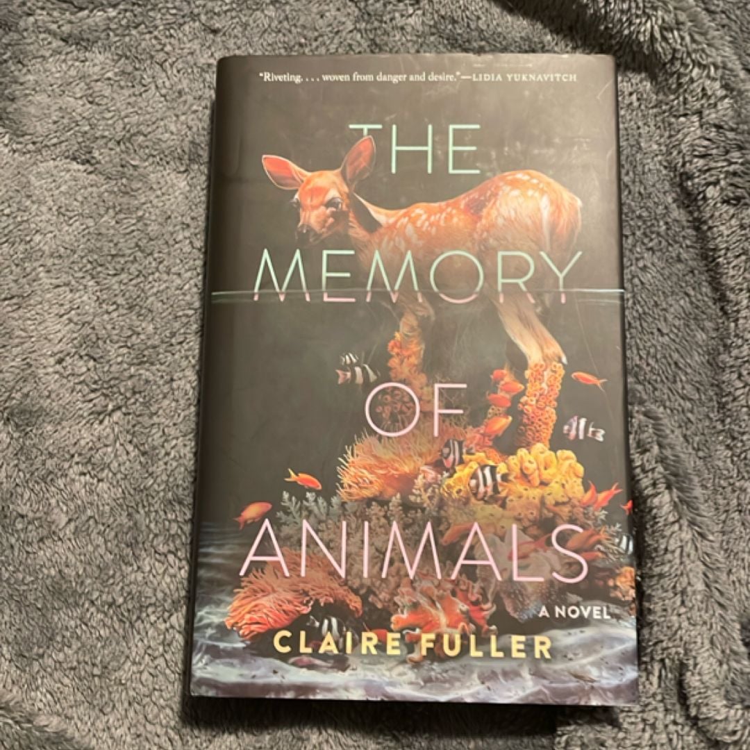 The Memory of Animals by Claire Fuller, Hardcover | Pangobooks