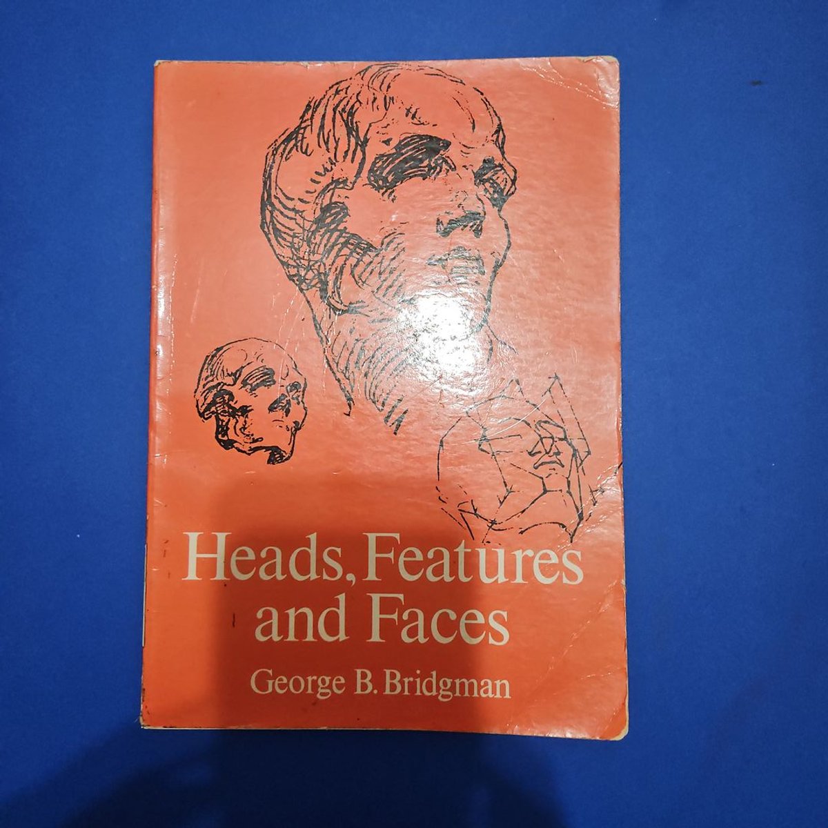 Heads, Features and Faces by George B. Bridgman