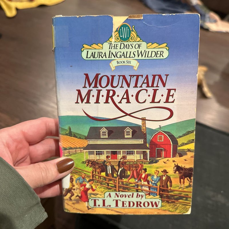 Mountain Miracle by T. L. Tedorw, Paperback | Pangobooks