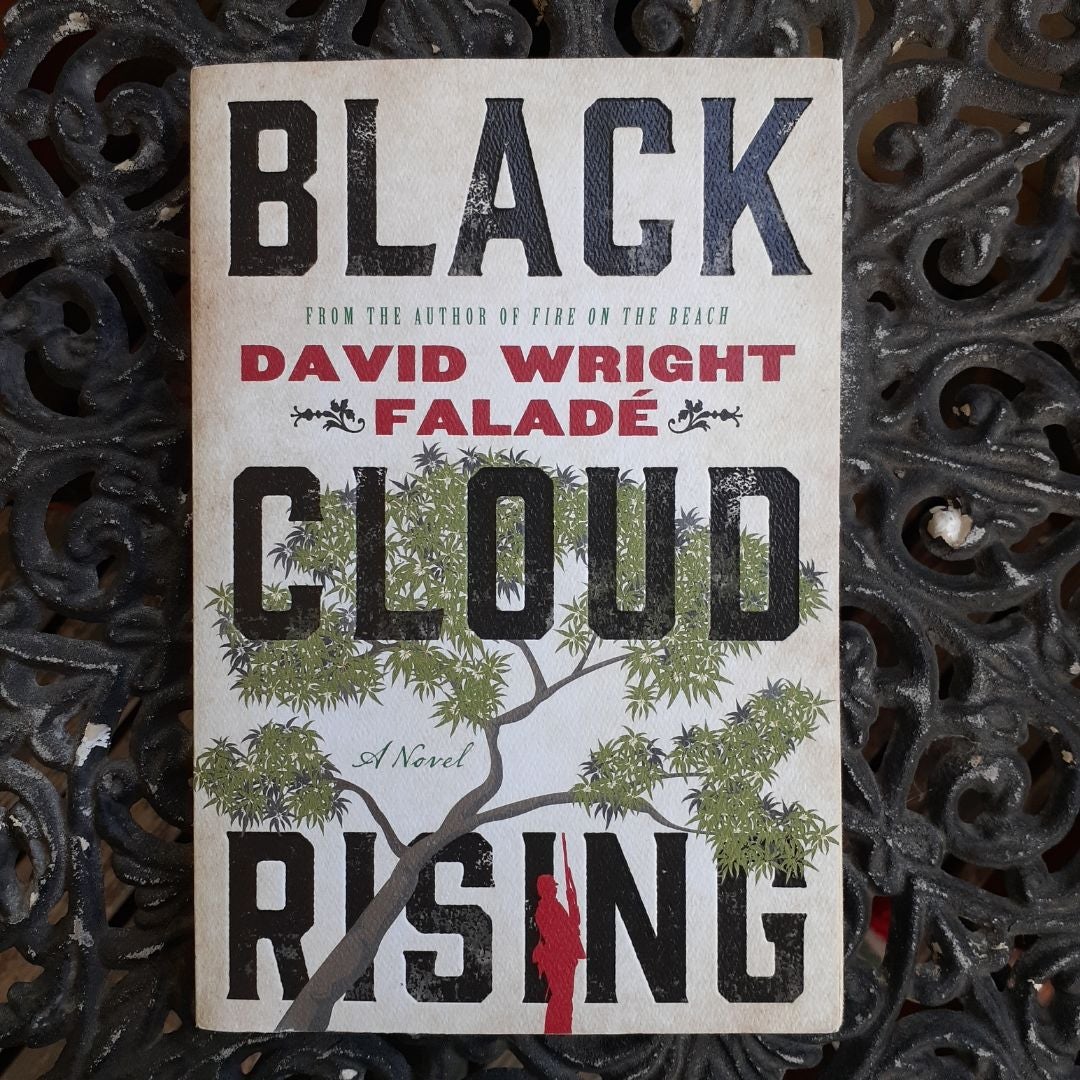 Black Cloud Rising by David Wright Falade