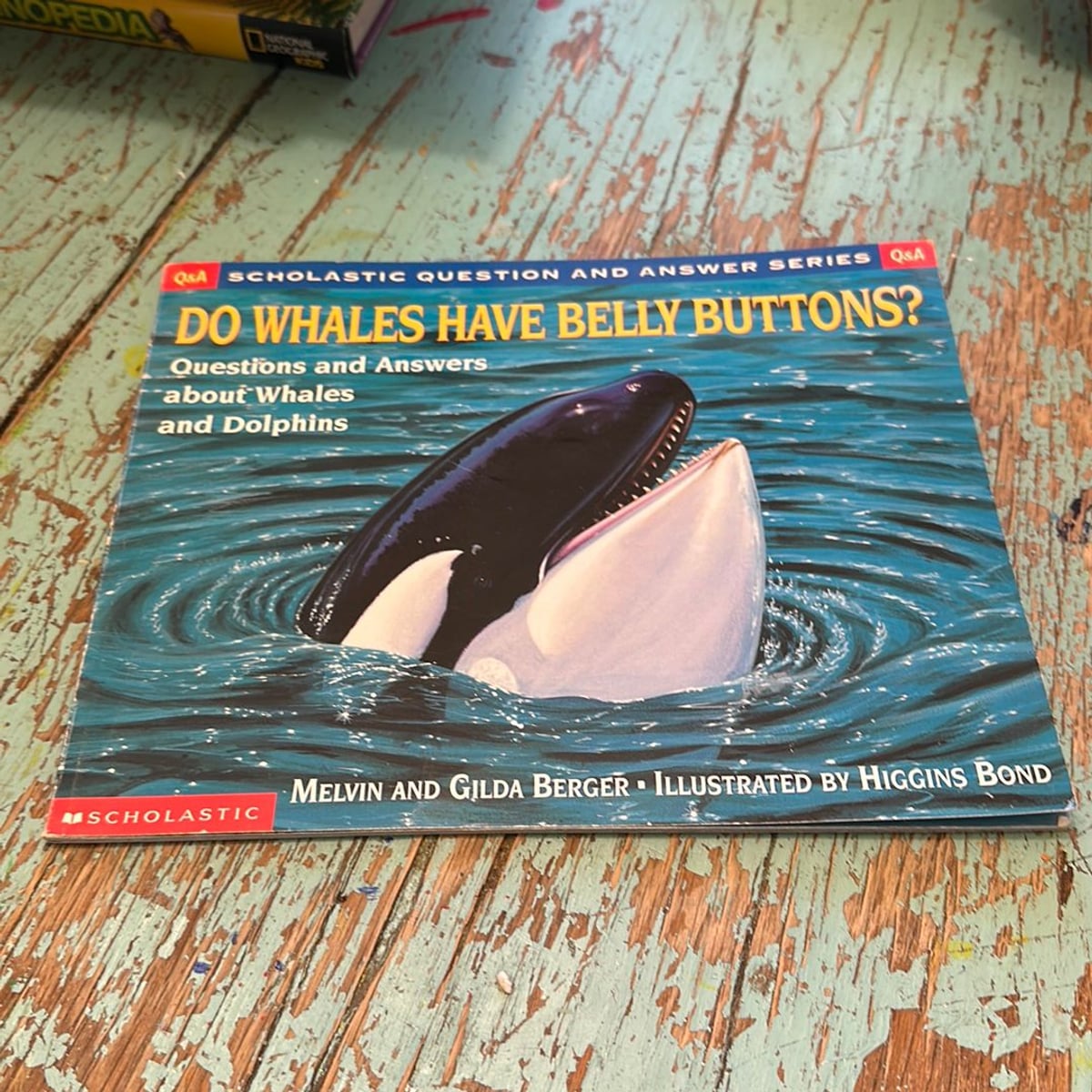 Do Whales Have Belly Buttons? by Melvin Berger, Gilda Berger