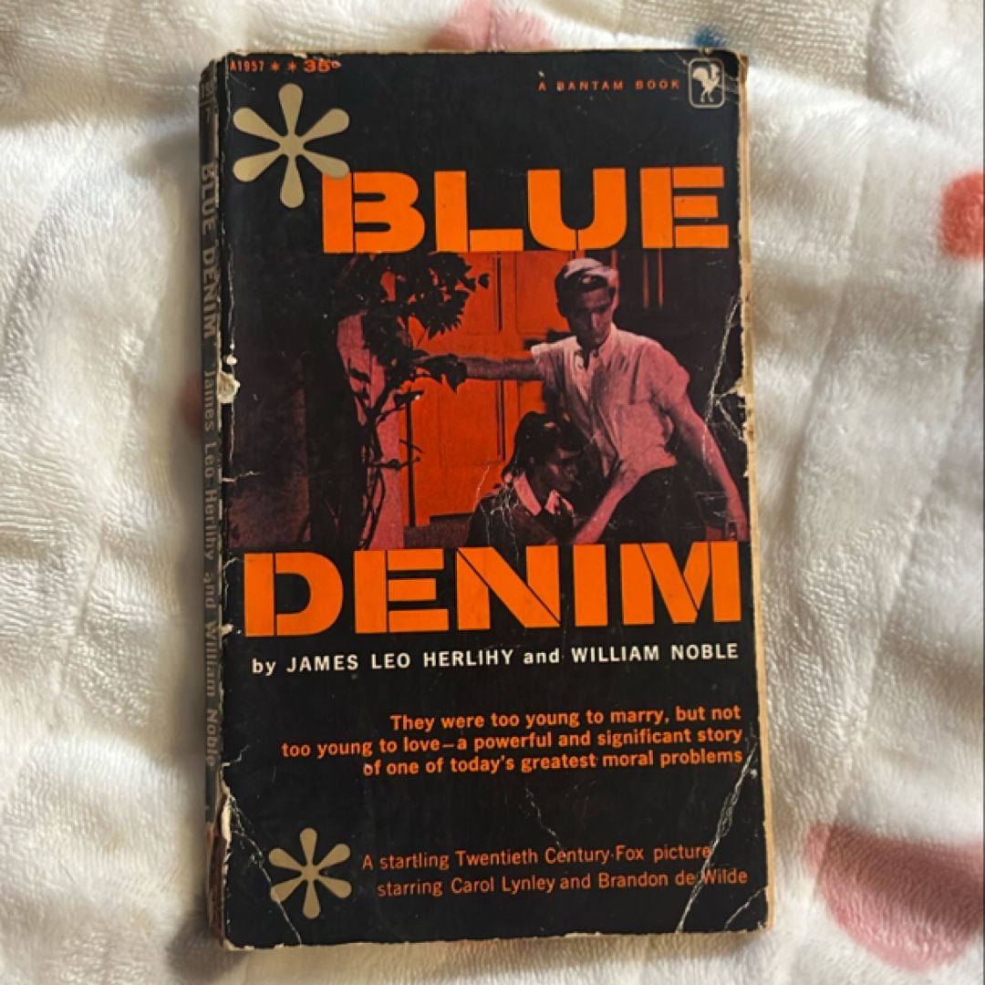 Blue Denim by James Leo Herlihy and William Noble, Paperback | Pangobooks