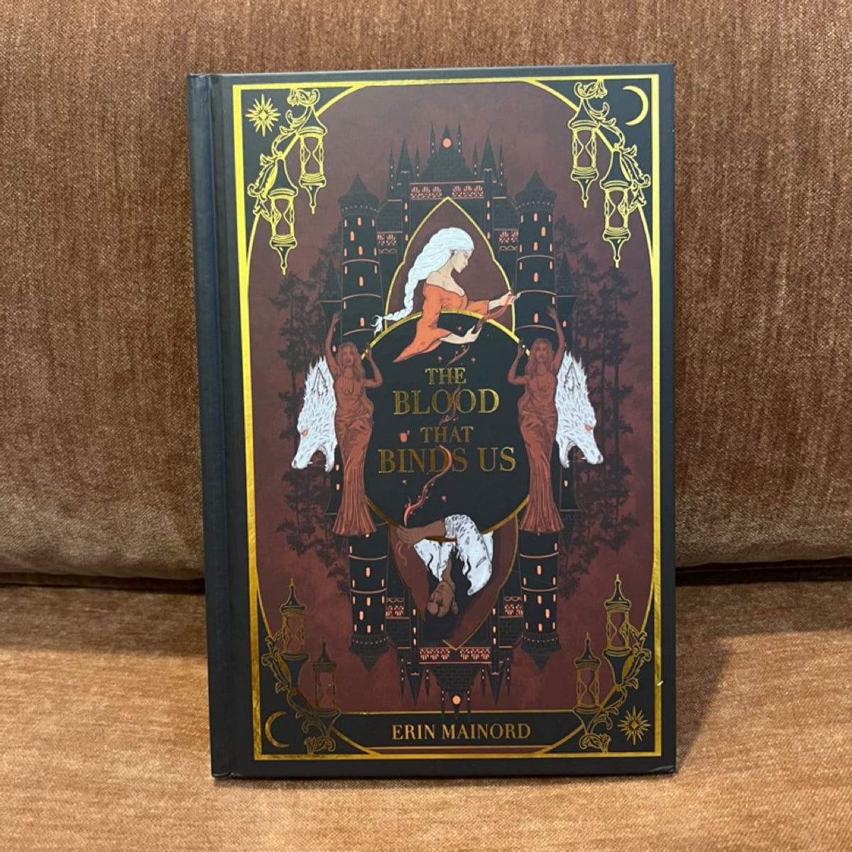 The Blood That Binds Us - Moonlight Book Box by Erin Mainord, Hardcover ...