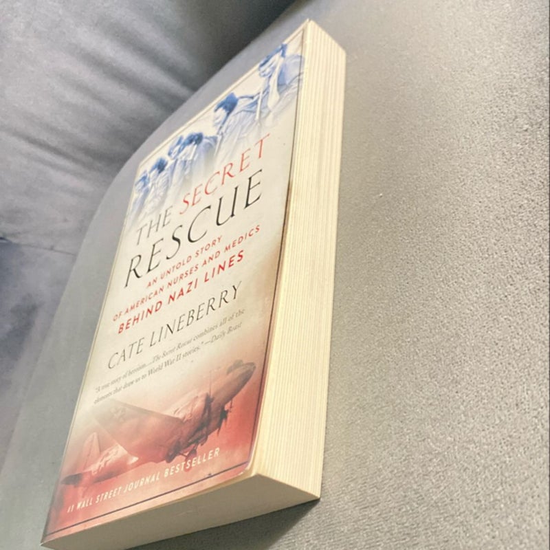 The Secret Rescue by Cate Lineberry