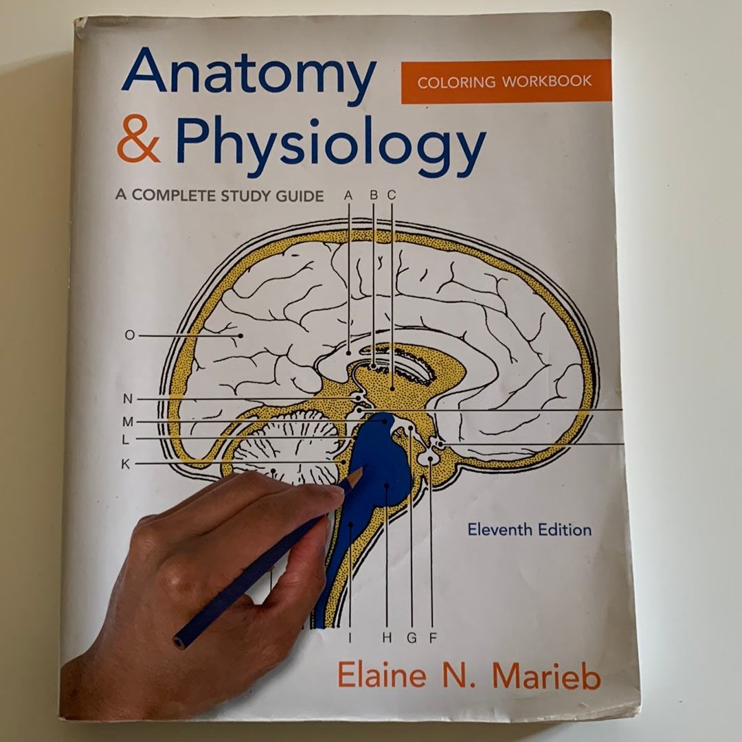 Anatomy and Physiology Coloring Workbook by Elaine Marieb, Simone Brito