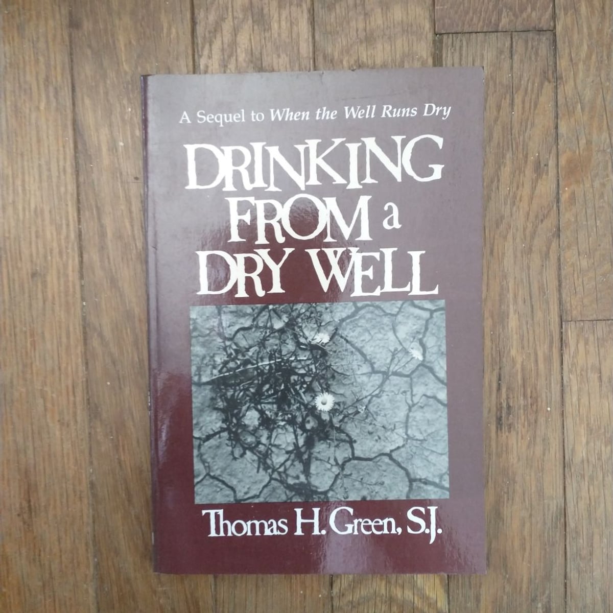 Drinking from a Dry Well by Thomas Green