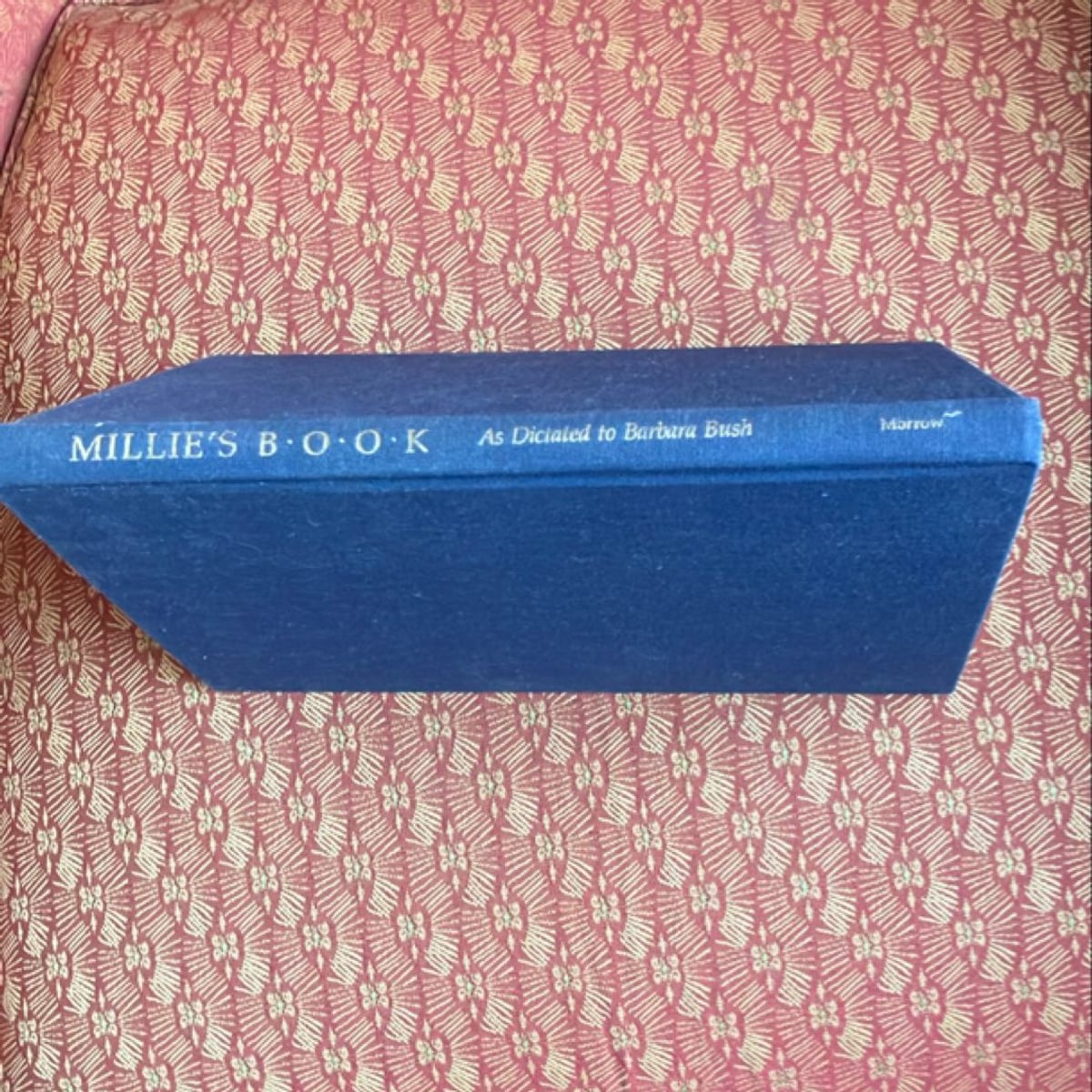 Millie’s Book by , Hardcover | Pangobooks