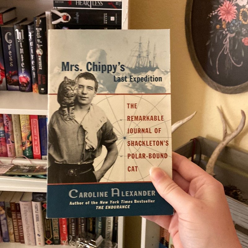 Mrs. Chippy's Last Expedition by Caroline Alexander