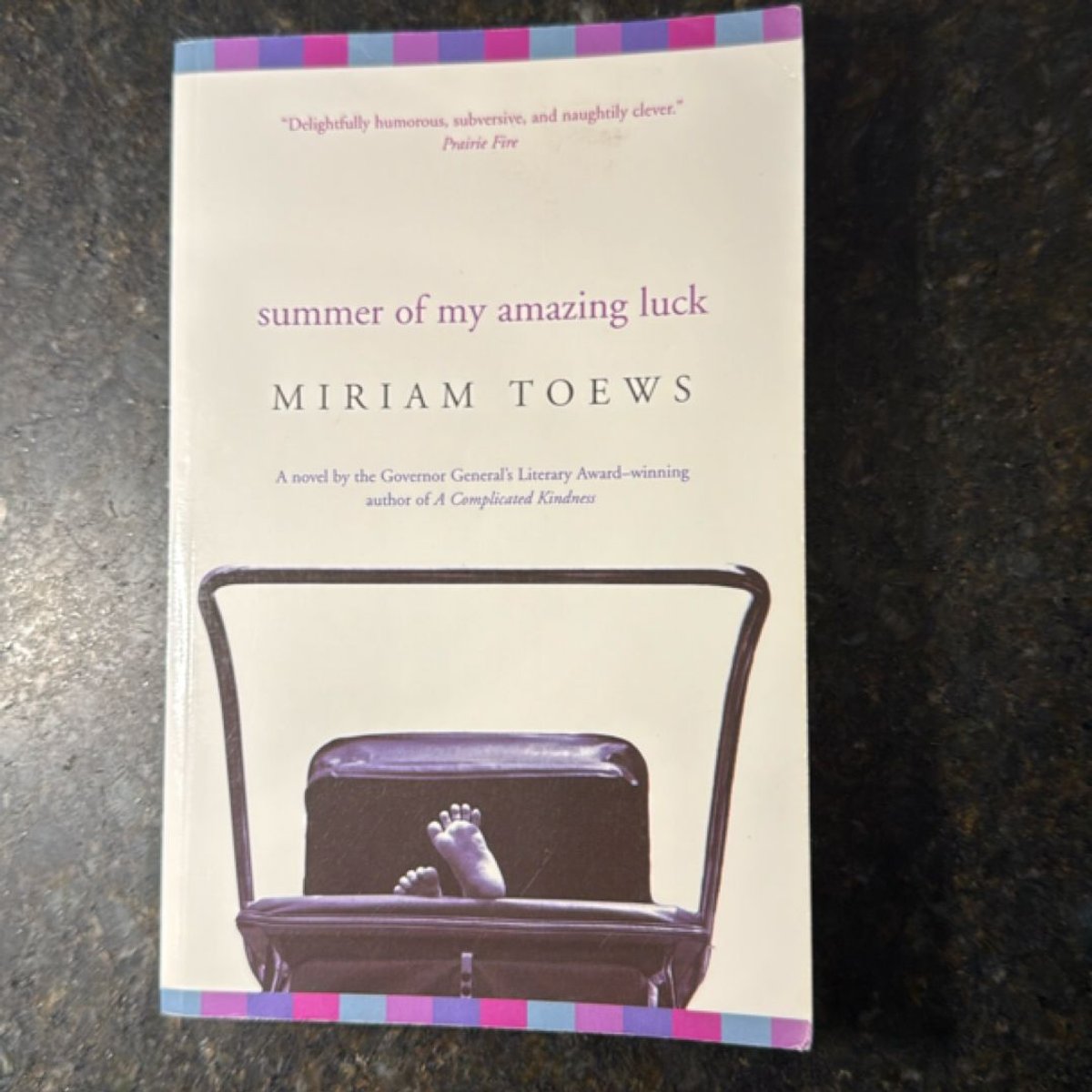 Summer of My Amazing Luck by Miriam Toews