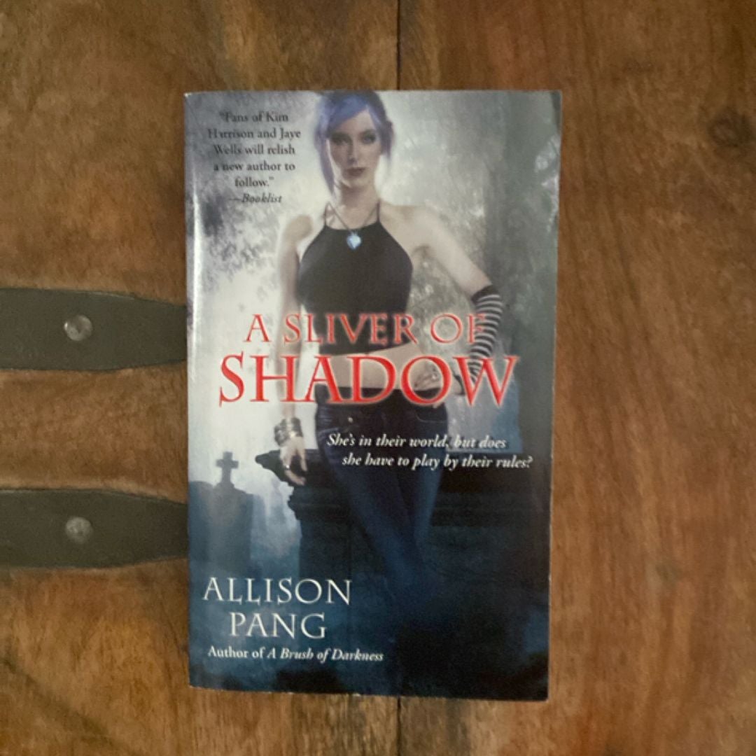 A Sliver of Shadow by Allison Pang