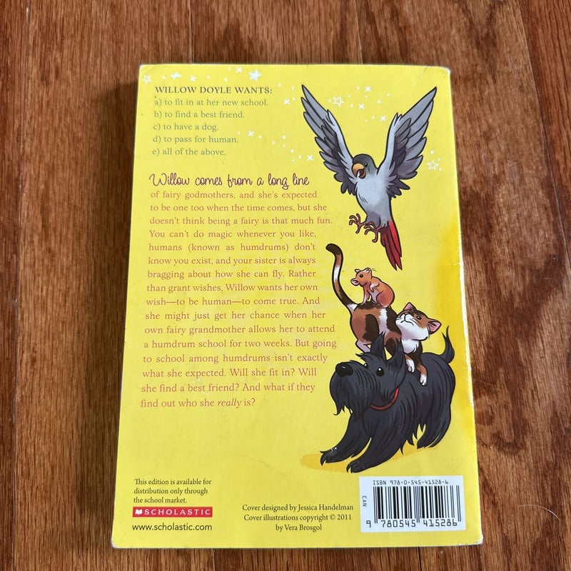 Fourth Grade Fairy by Eileen Cook