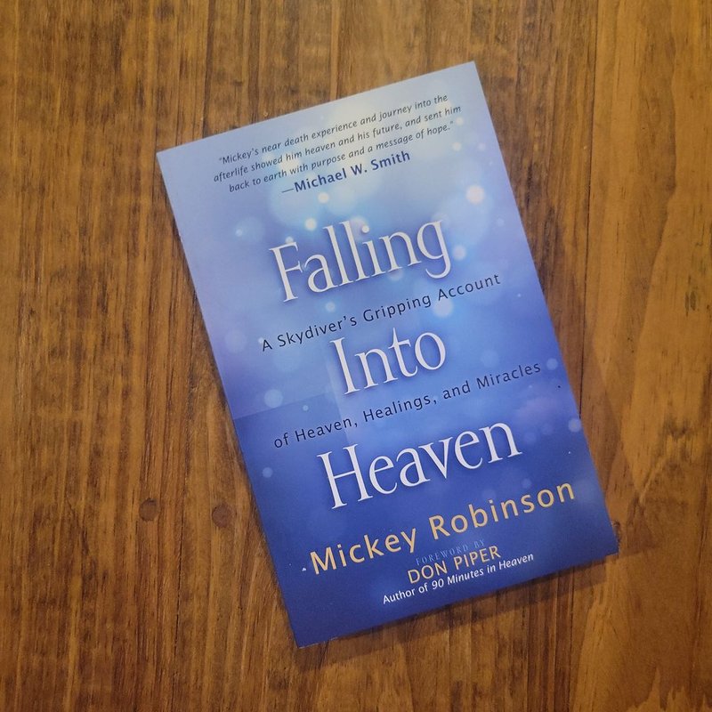 Falling into Heaven by Mickey Robinson, Paperback | Pangobooks
