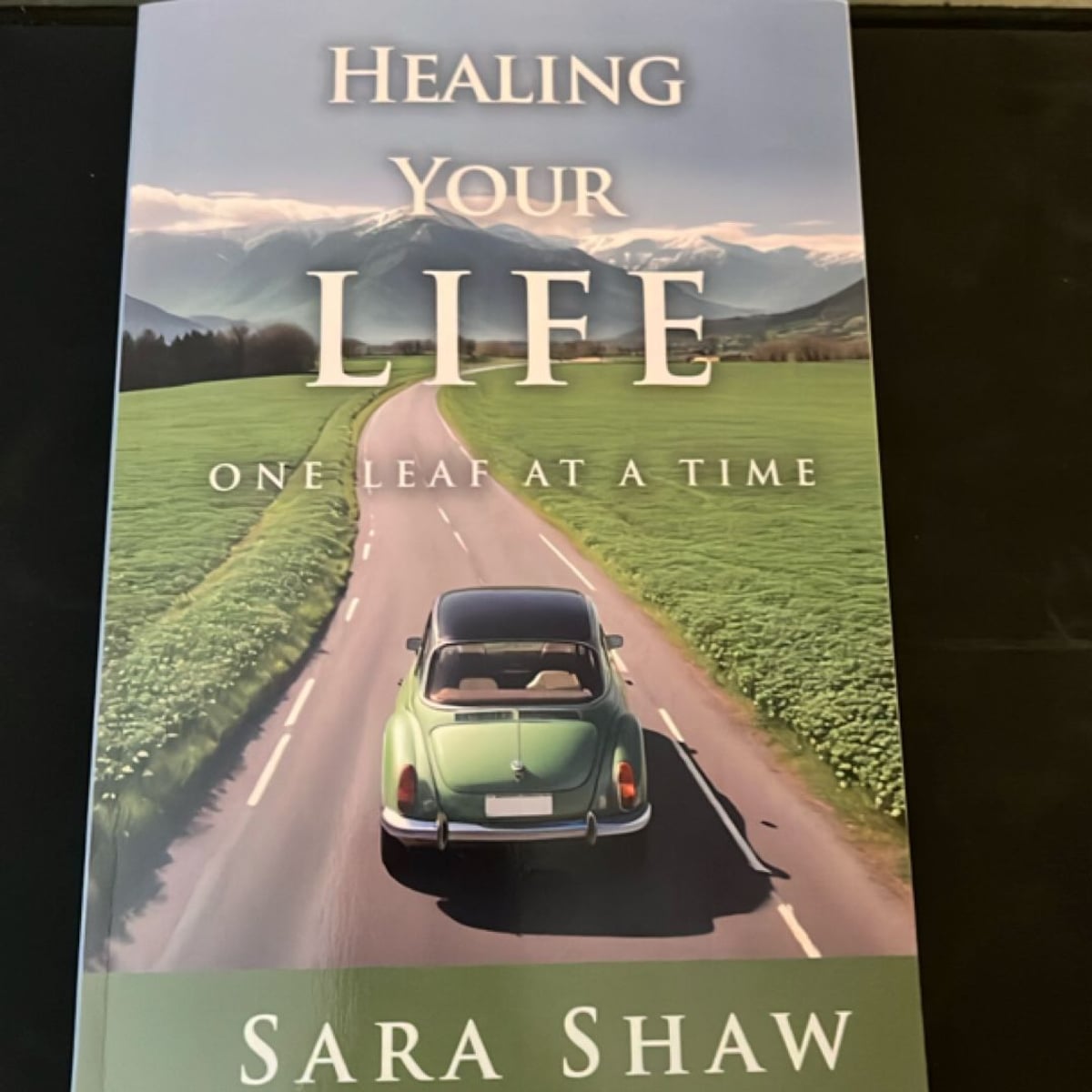 Healing Your Life One Leaf at a Time by Sara Shaw