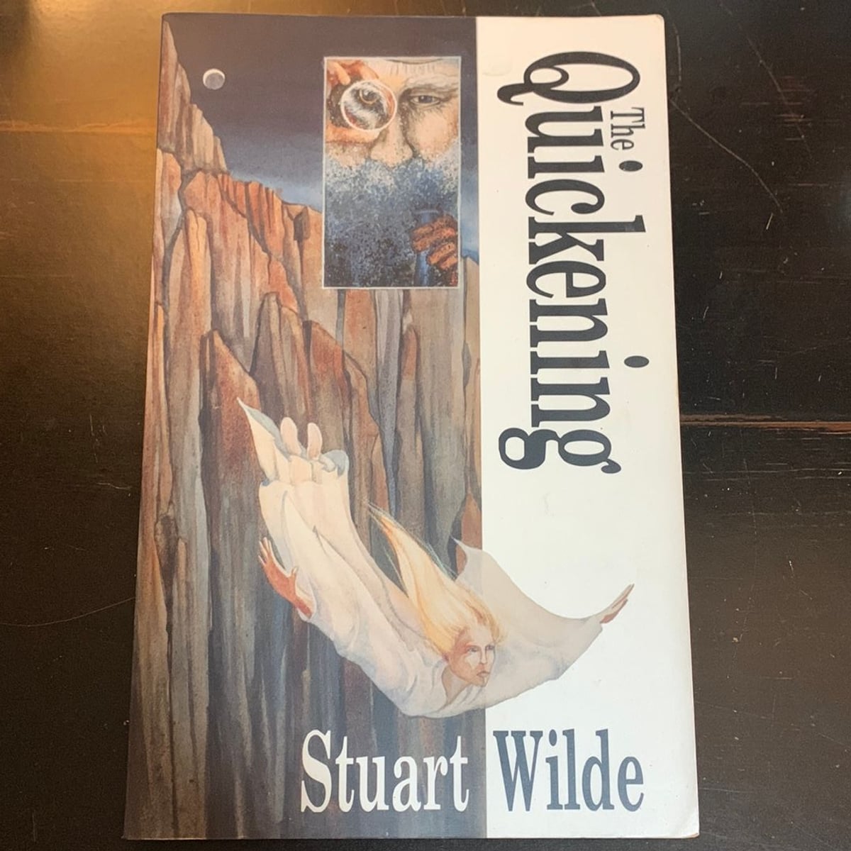 The Quickening by Stuart Wilde
