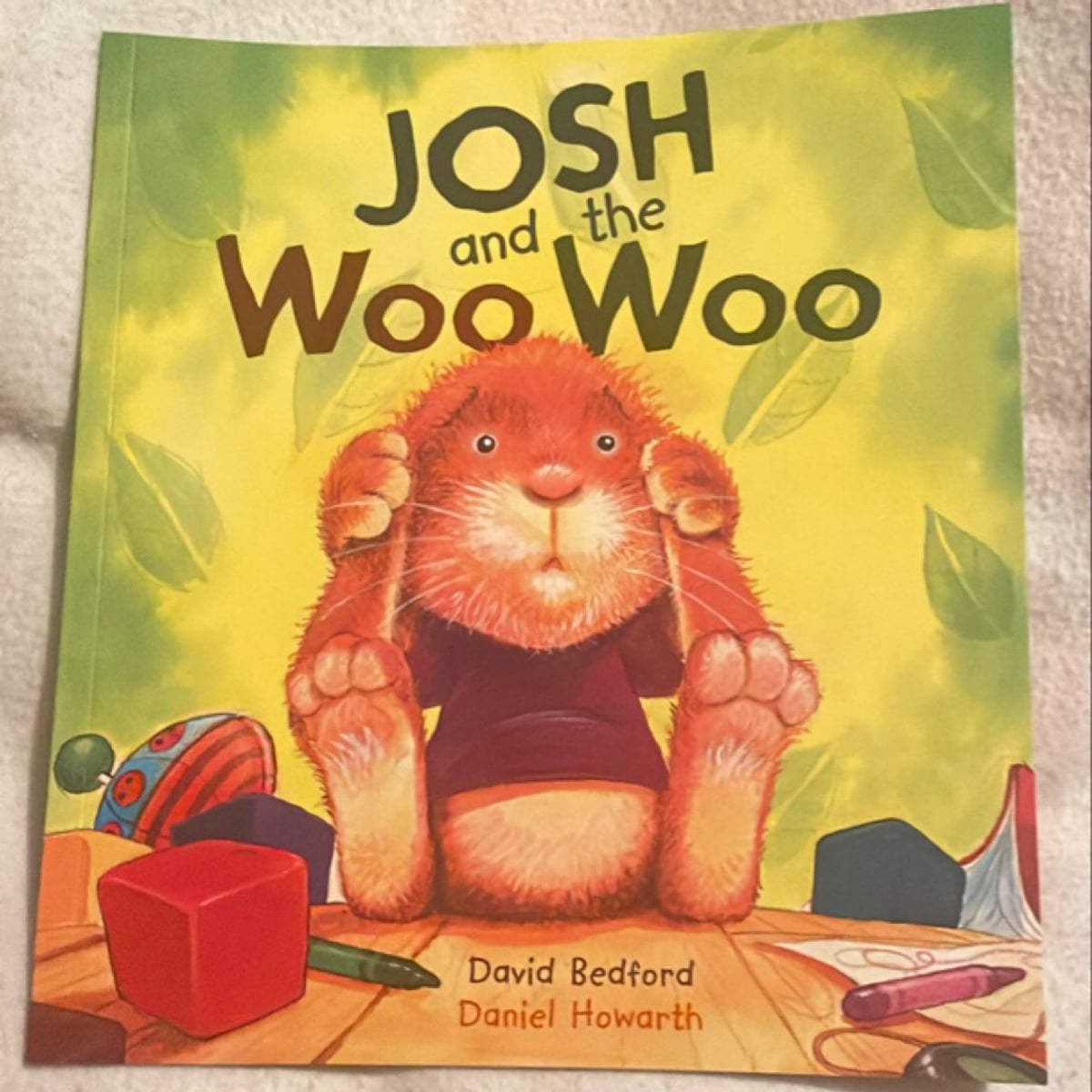 Josh and the Woo Woo by David Bedford, Paperback | Pangobooks