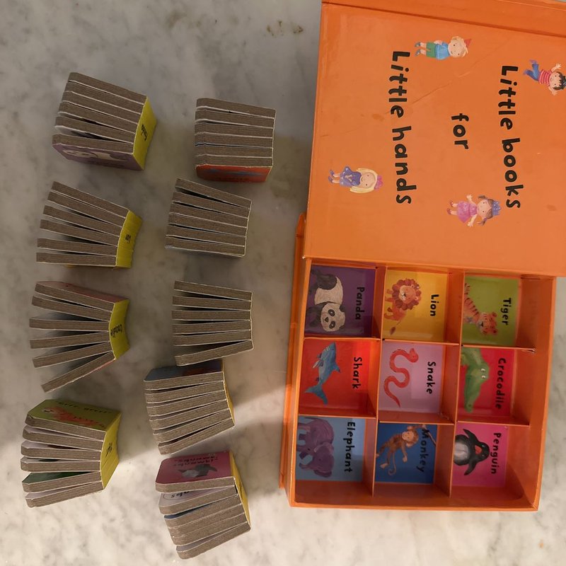 My Wild Animal World by Elizabeth Golding, Hardcover | Pangobooks