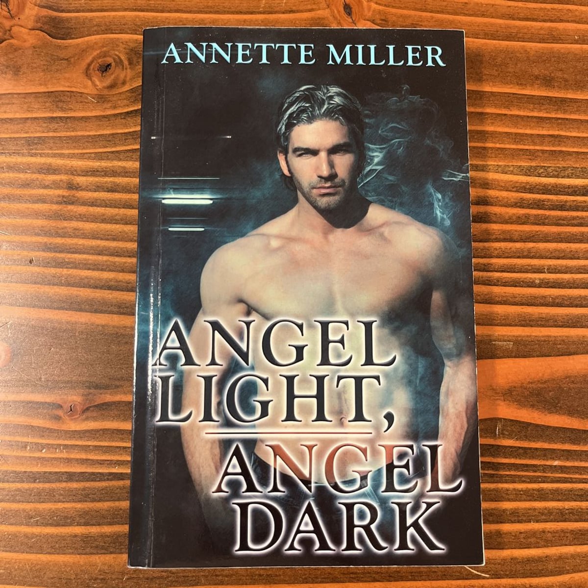 Angel Light, Angel Dark by Annette Miller