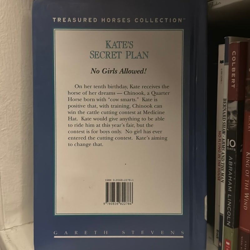 Kate's Secret Plan by Susan Saunders