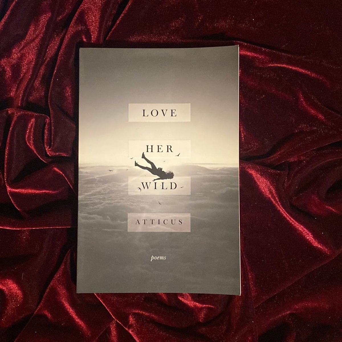 Love Her Wild by Atticus