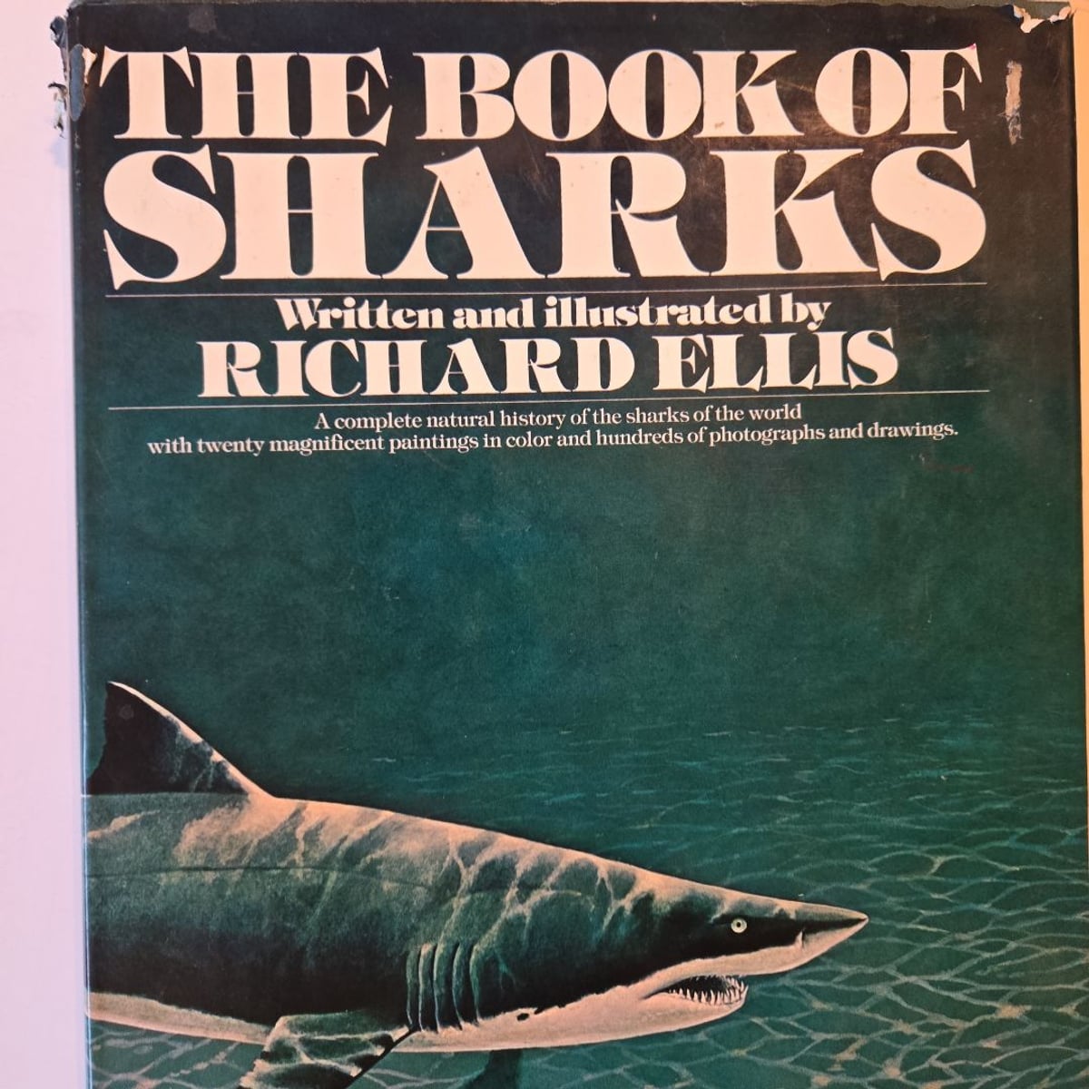 The Book of Sharks by Richard Ellis