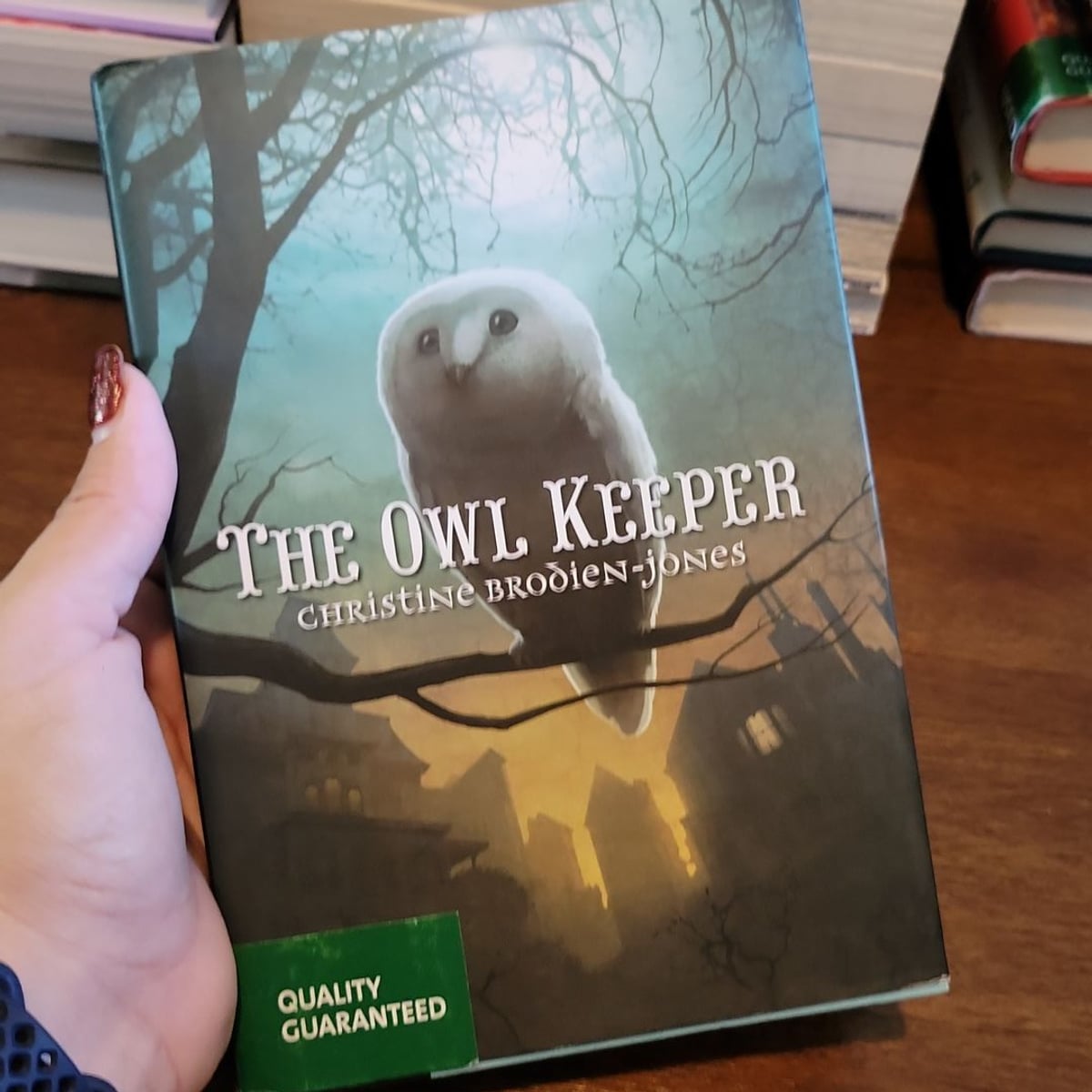The Owl Keeper by Christine Brodien-Jones