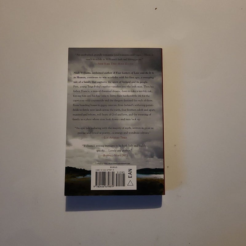 The Fall of Light by Niall Williams