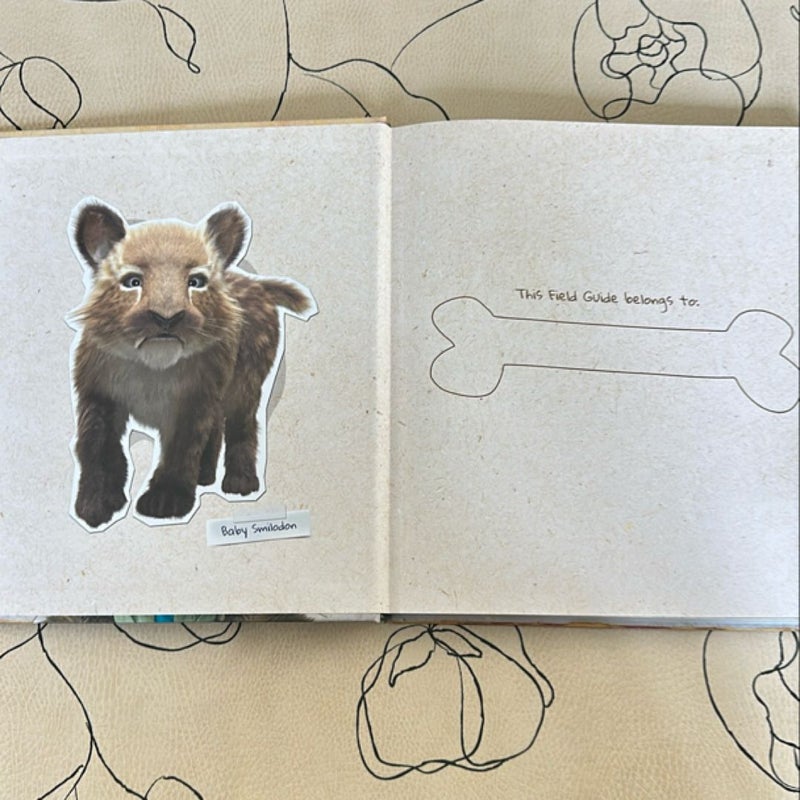 Dino Dana: Dino Field Guide by J. J. Johnson, Colleen Russo Johnson ...