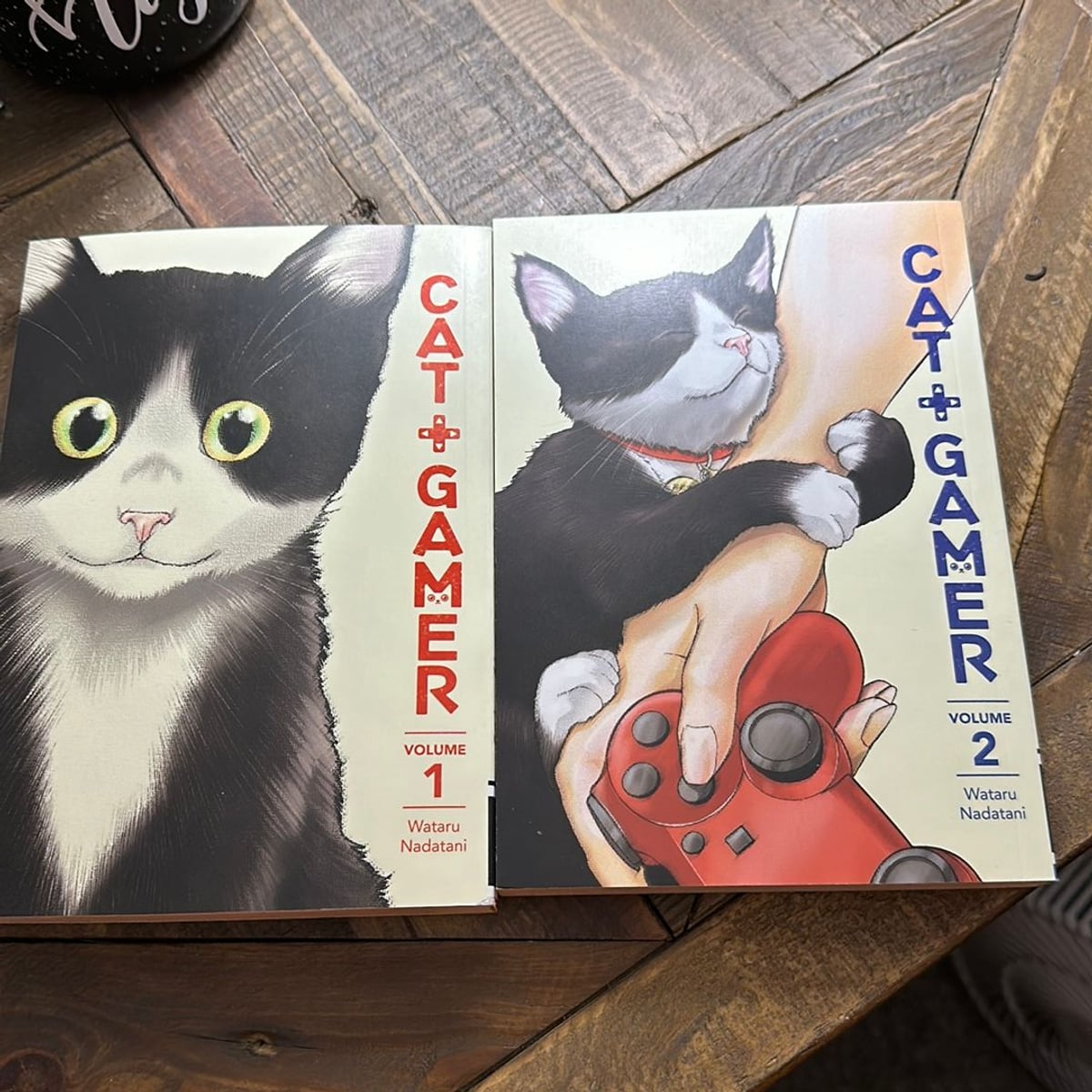Cat + Gamer Volume 1 by Wataru Nadatani