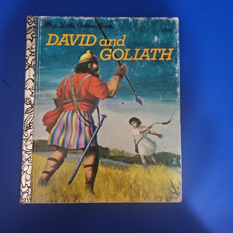 David and Goliath by Barbara Shook Hazen
