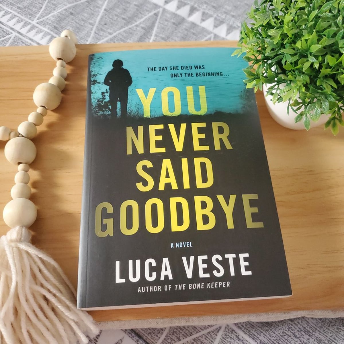 You Never Said Goodbye by Luca Veste