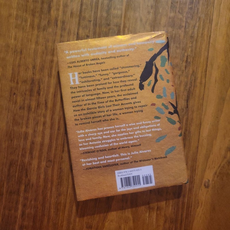 Afterlife by Julia Alvarez, Hardcover | Pangobooks