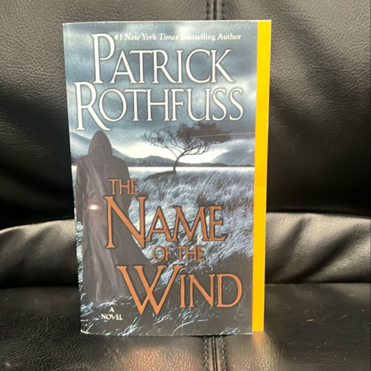 The Name of the Wind by Patrick Rothfuss