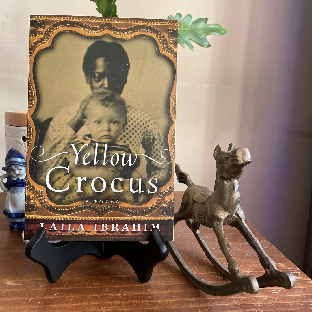 Yellow Crocus by Laila Ibrahim, Paperback | Pangobooks