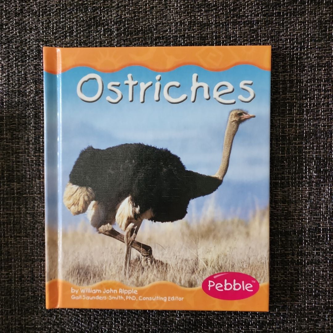 Ostriches by William J. Ripple