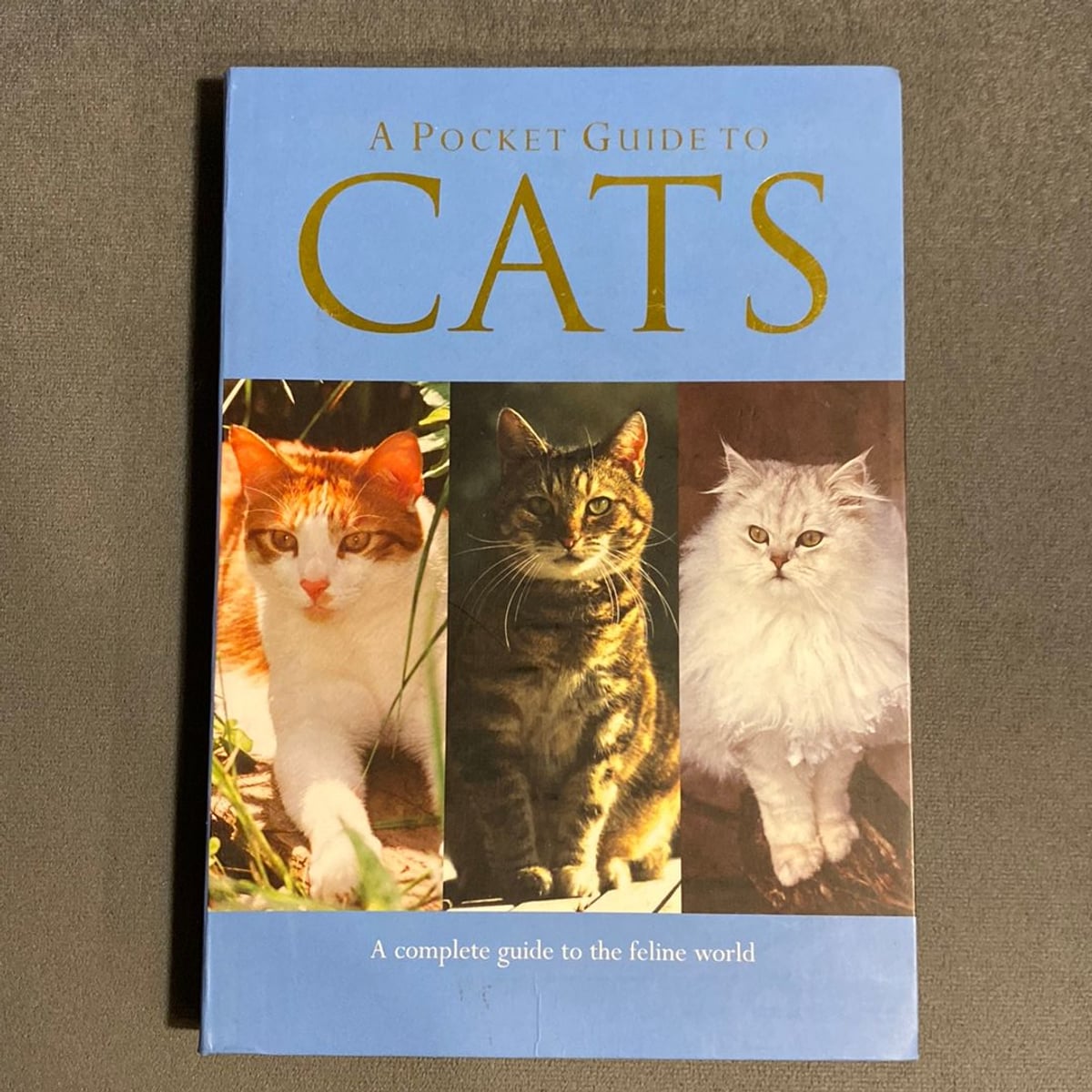 A Pocket Guide to Cats by , Paperback | Pangobooks
