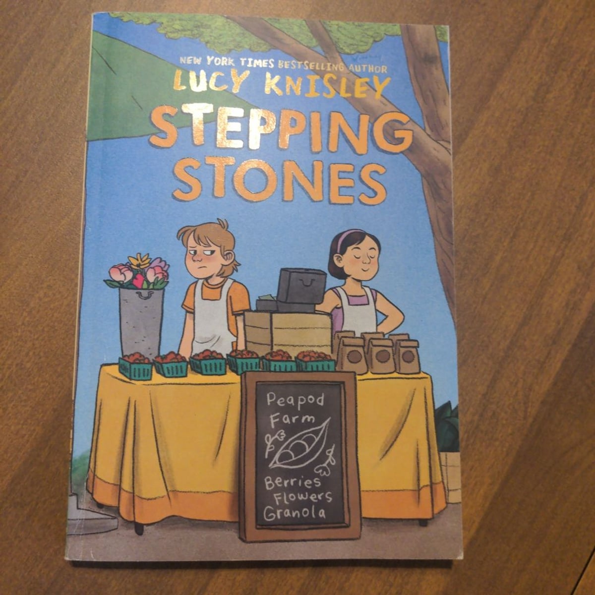 Stepping Stones by Lucy Knisley, Paperback | Pangobooks