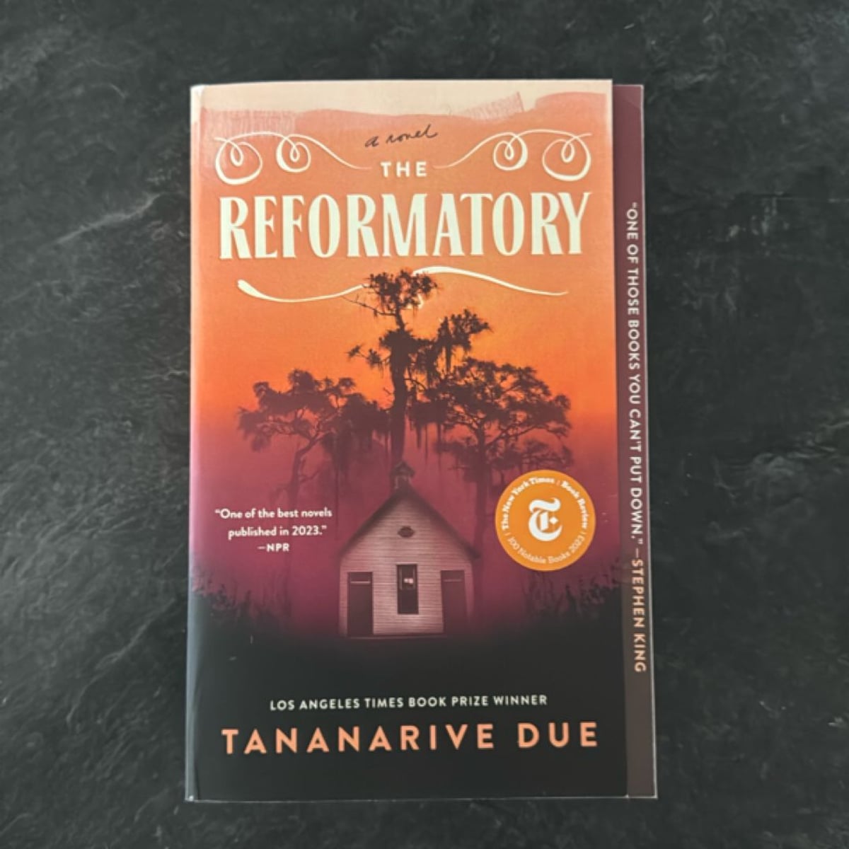 The Reformatory by Tananarive Due