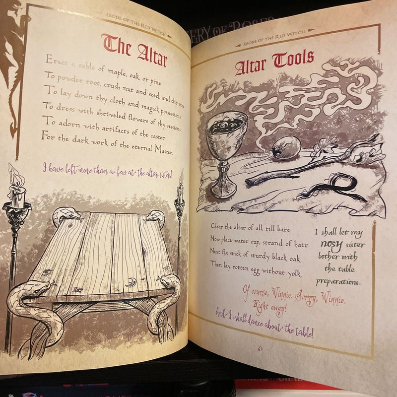 The Hocus Pocus Spell Book by Eric Geron