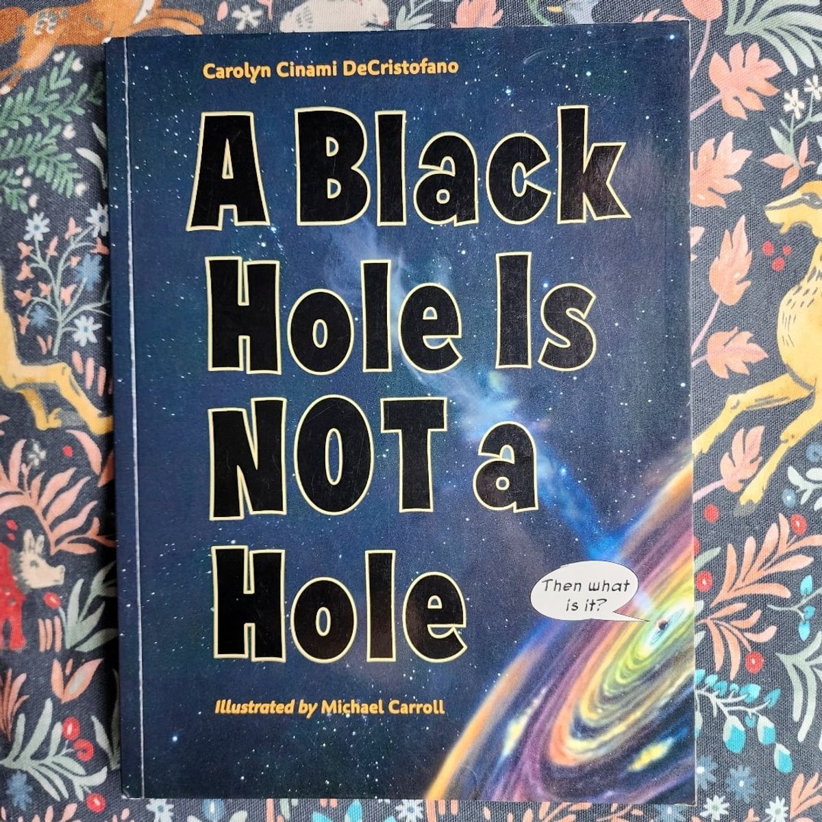 A Black Hole Is Not a Hole by Carolyn Cinami DeCristofano